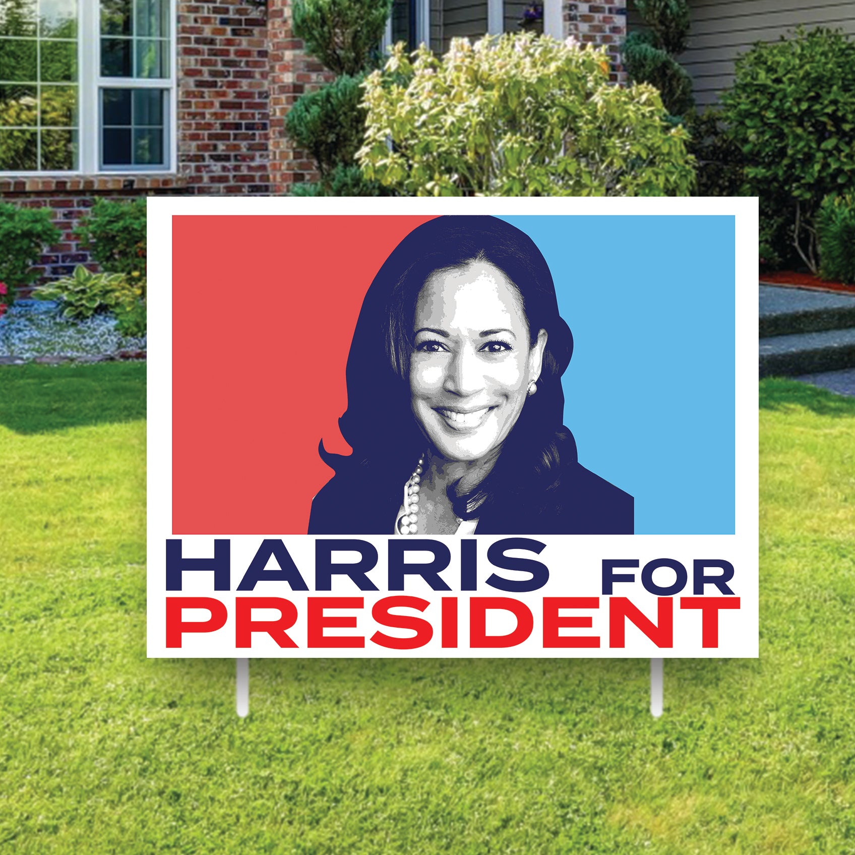 kamala harris red blue 16x12 – Aahs Enterprises